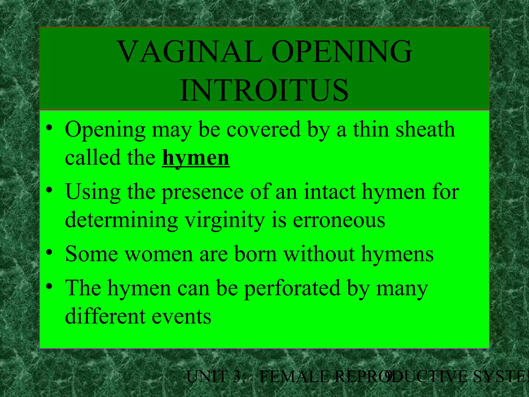 Female reproductive anatomy | PPT