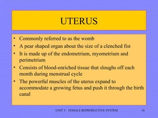 Female reproductive anatomy | PPT | Pregnancy | Reproductive Health