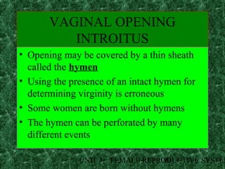 Female reproductive anatomy | PPT | Pregnancy | Reproductive Health
