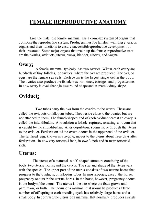 Female reproductive anatomy | PDF