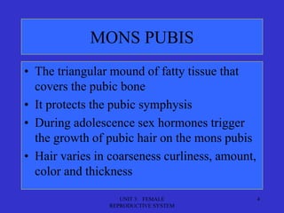 Female Reproductive Anatomy.ppt