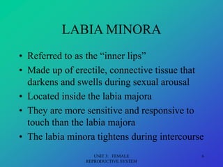 Female Reproductive Anatomy.ppt