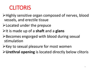 Female Reproductive Anatomy ab-1.ppttyerue56 | PPT