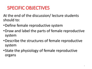 Female Reproductive Anatomy ab-1.ppttyerue56 | PPT