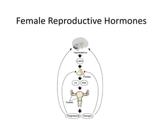 Female reproductive hormones | PDF