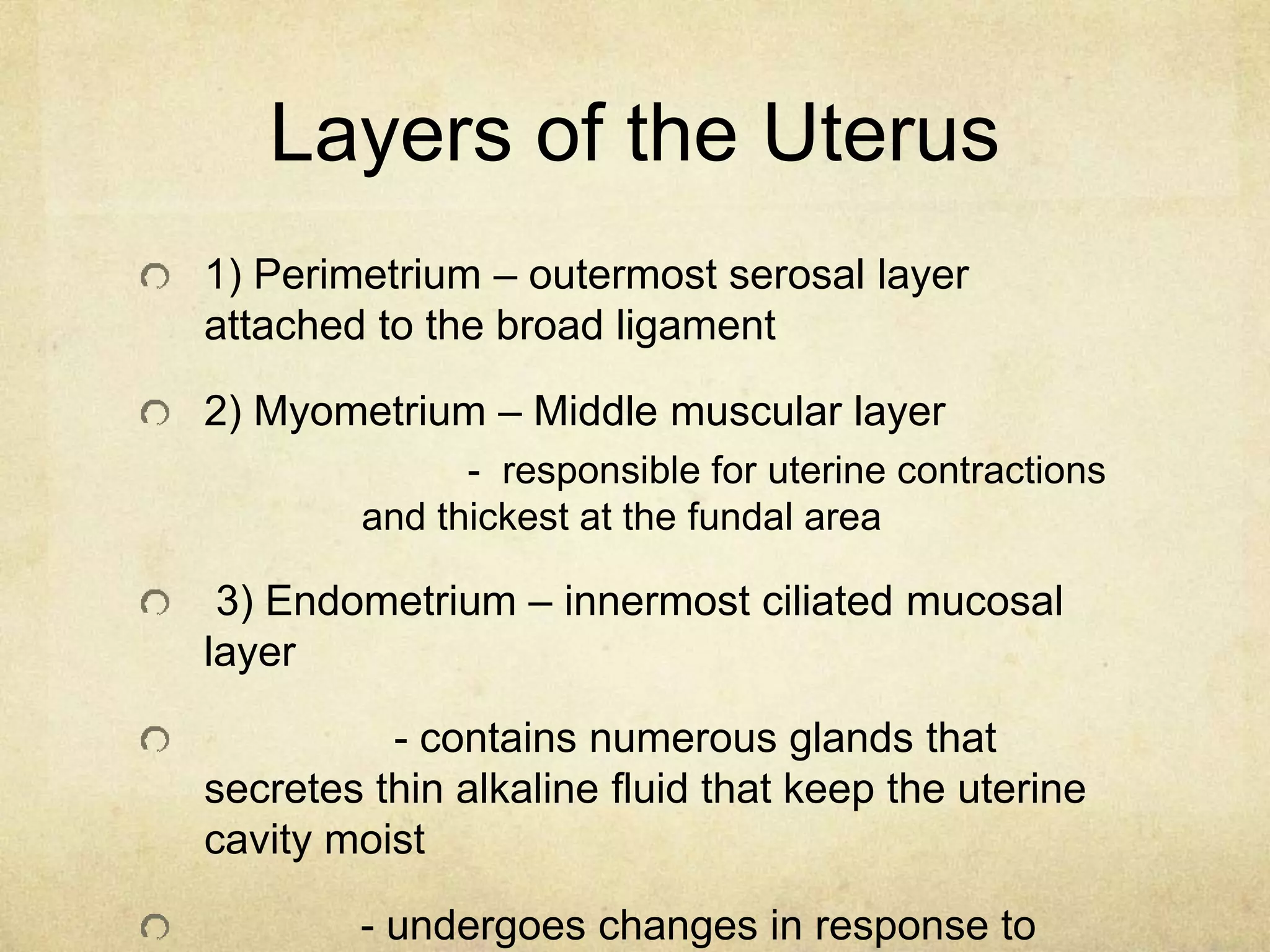 Anatomy and Physiology of the Male and Female Reproductive System | PPTX