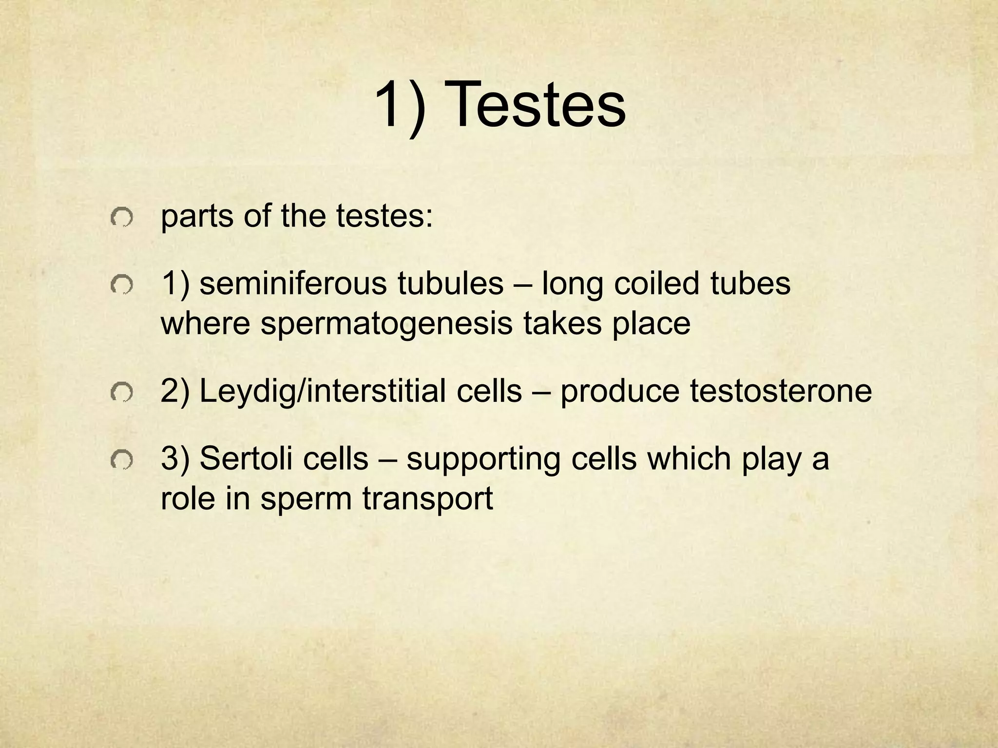 Anatomy and Physiology of the Male and Female Reproductive System | PPTX