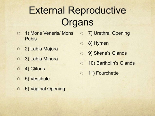 Anatomy and Physiology of the Male and Female Reproductive System ...