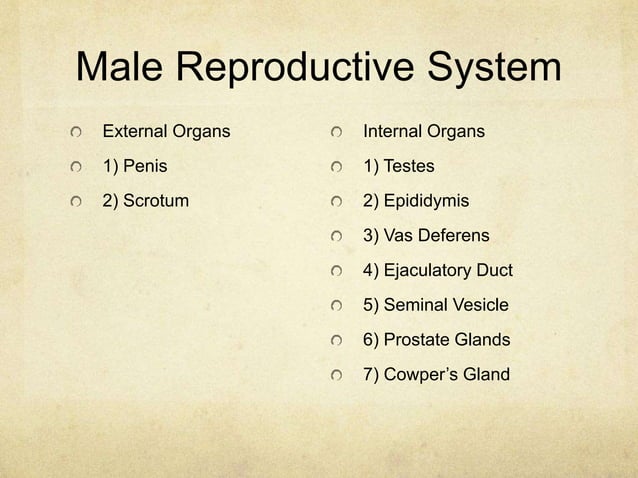 Anatomy and Physiology of the Male and Female Reproductive System ...