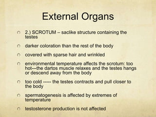 Anatomy and Physiology of the Male and Female Reproductive System | PPTX