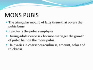 Female reproductive organ | PPTX