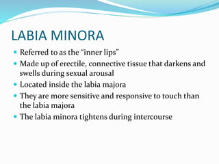 Female reproductive organ | PPT