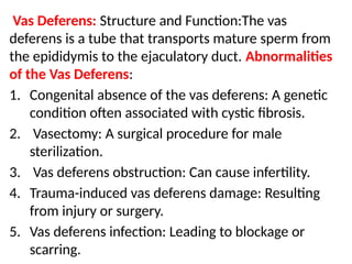 Female Reproductive organ.pptxhjjhhhhjjj | PPT | Free Download
