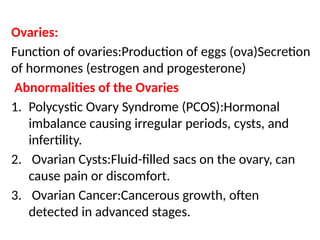 Female Reproductive organ.pptxhjjhhhhjjj | PPT