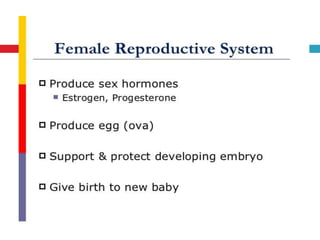 Female Reproductive Organs PPT.pptx