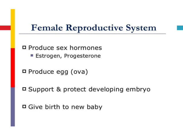 Female Reproductive Organs PPT.pptx