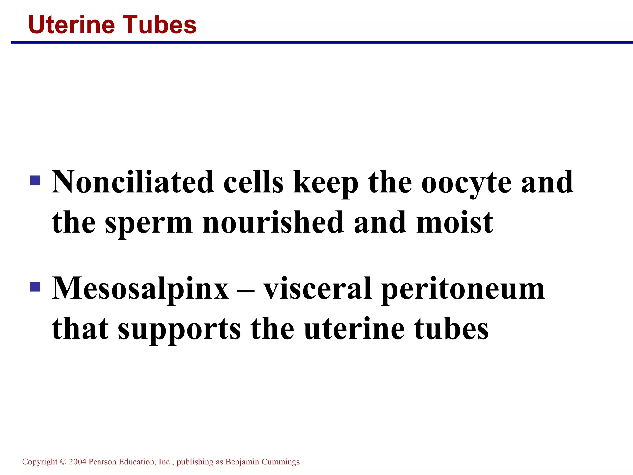 FEMALE REPRODUCTIVE PHYSIOLOGY .pdf