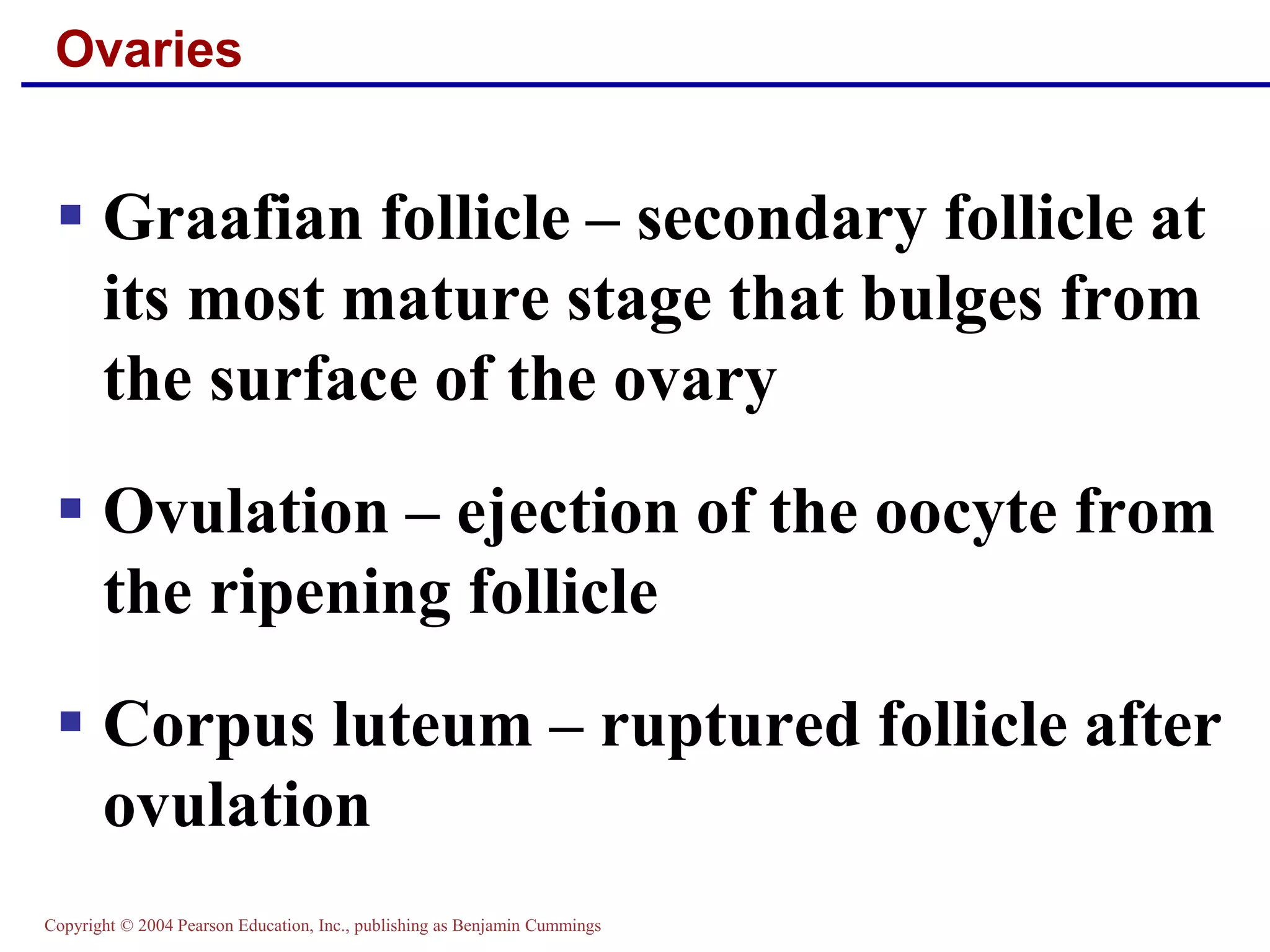 Female Reproductive Physiology Pdf