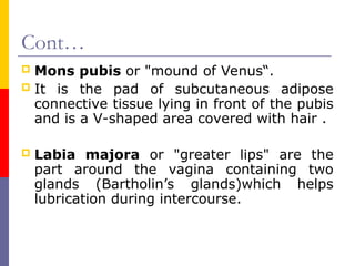 Female Reproductive System in gynecology .ppt