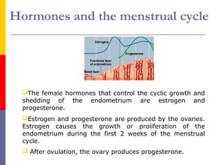Female Reproductive System in gynecology .ppt