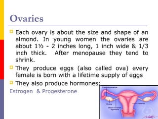 Female Reproductive System in gynecology .ppt