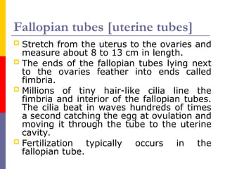 Female Reproductive System in gynecology .ppt