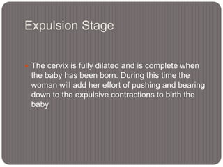 Female reproductive system | PPT