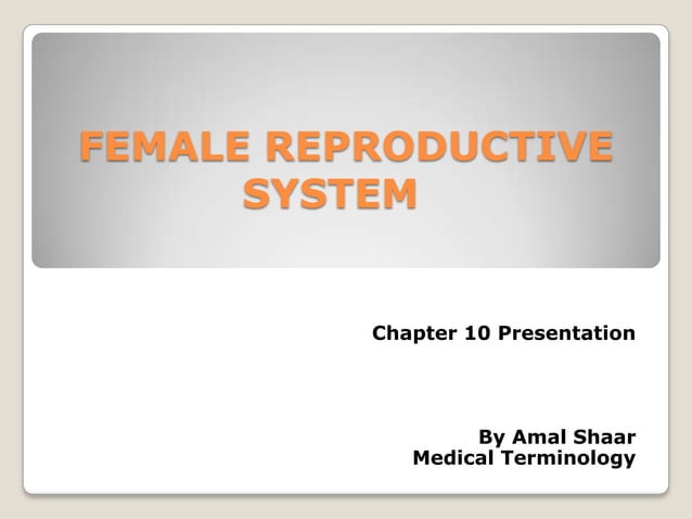 Female reproductive system | PPT
