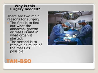 Female reproductive system | PPT