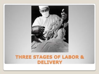 Female reproductive system | PPT