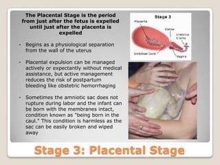 Female reproductive system | PPT