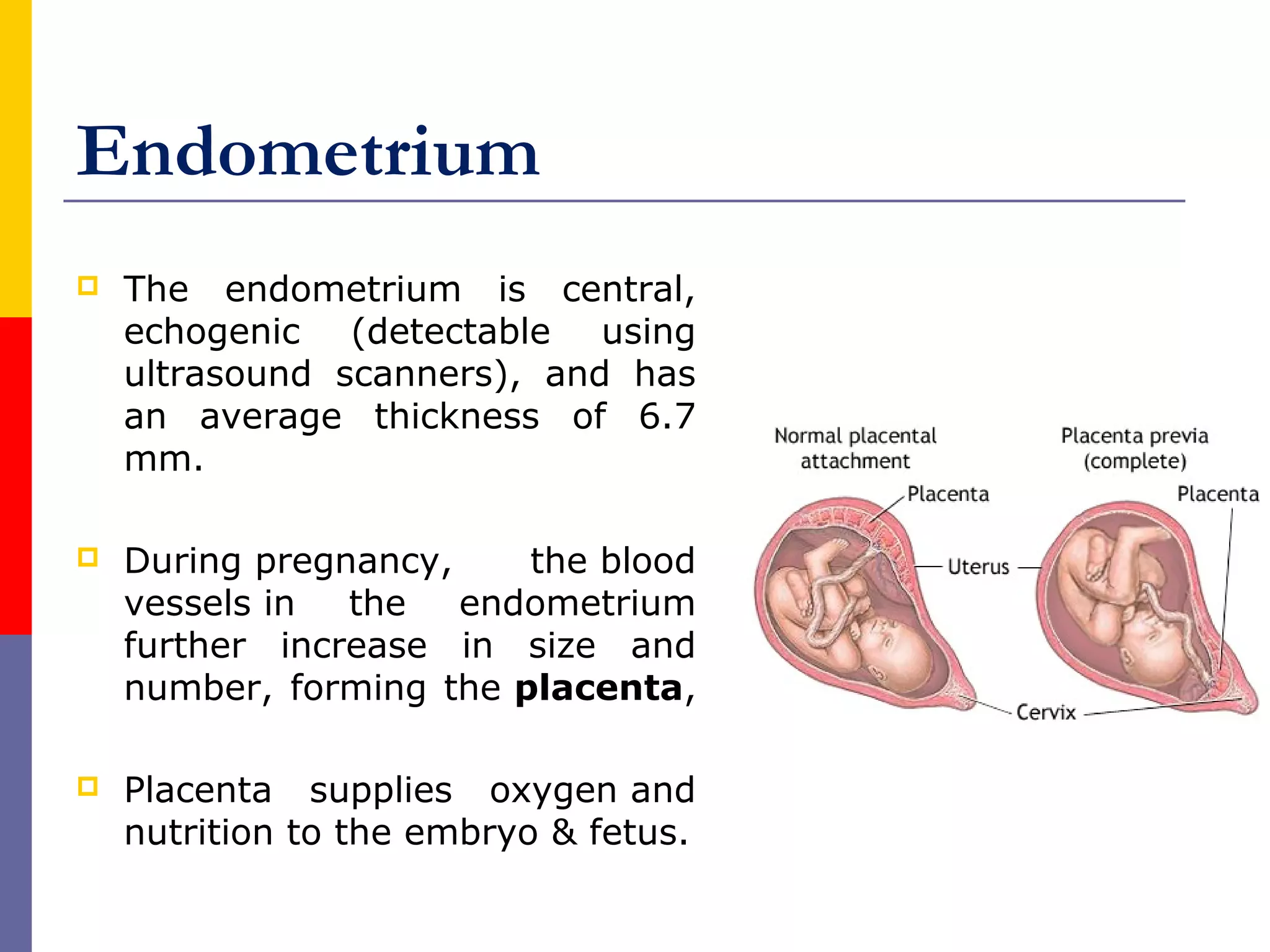 Femalereproductivesystem 120329125448-phpapp02 | PPT