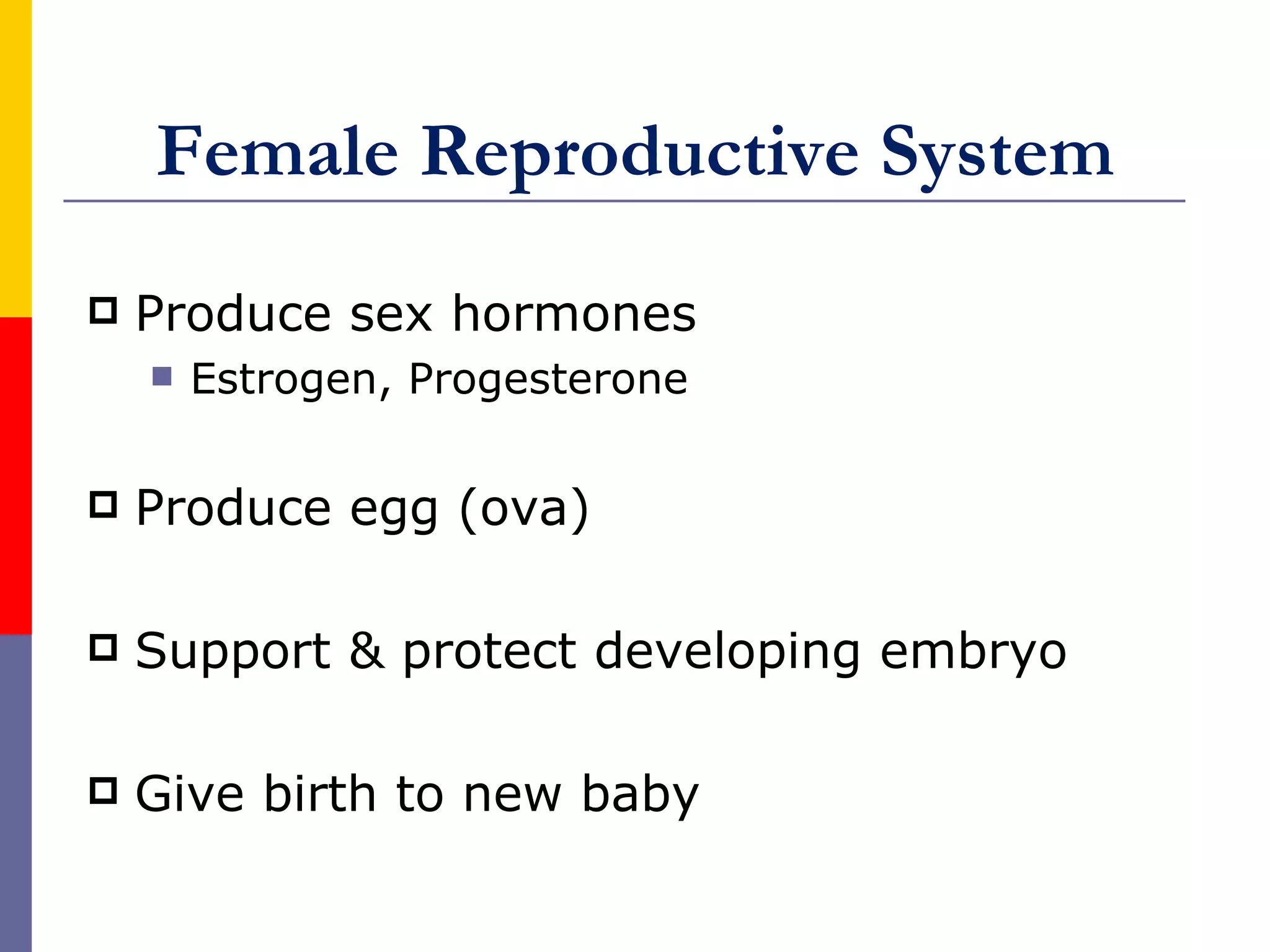 Female reproductive system | PPT