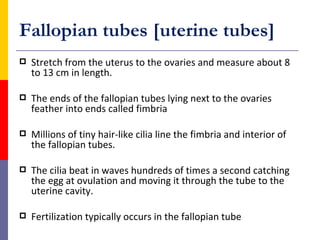 Female reproductive system | PPT