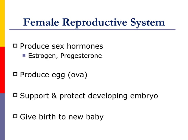 Female reproductive system | PPT | Pregnancy | Reproductive Health