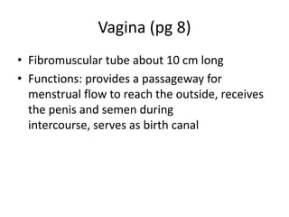 Female reproductive system | PPTX