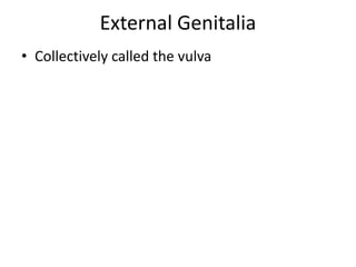 Female reproductive system | PPTX