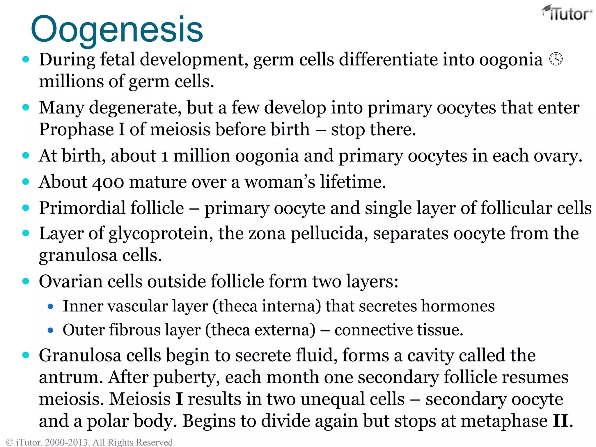 Female Reproductive System | PPTX