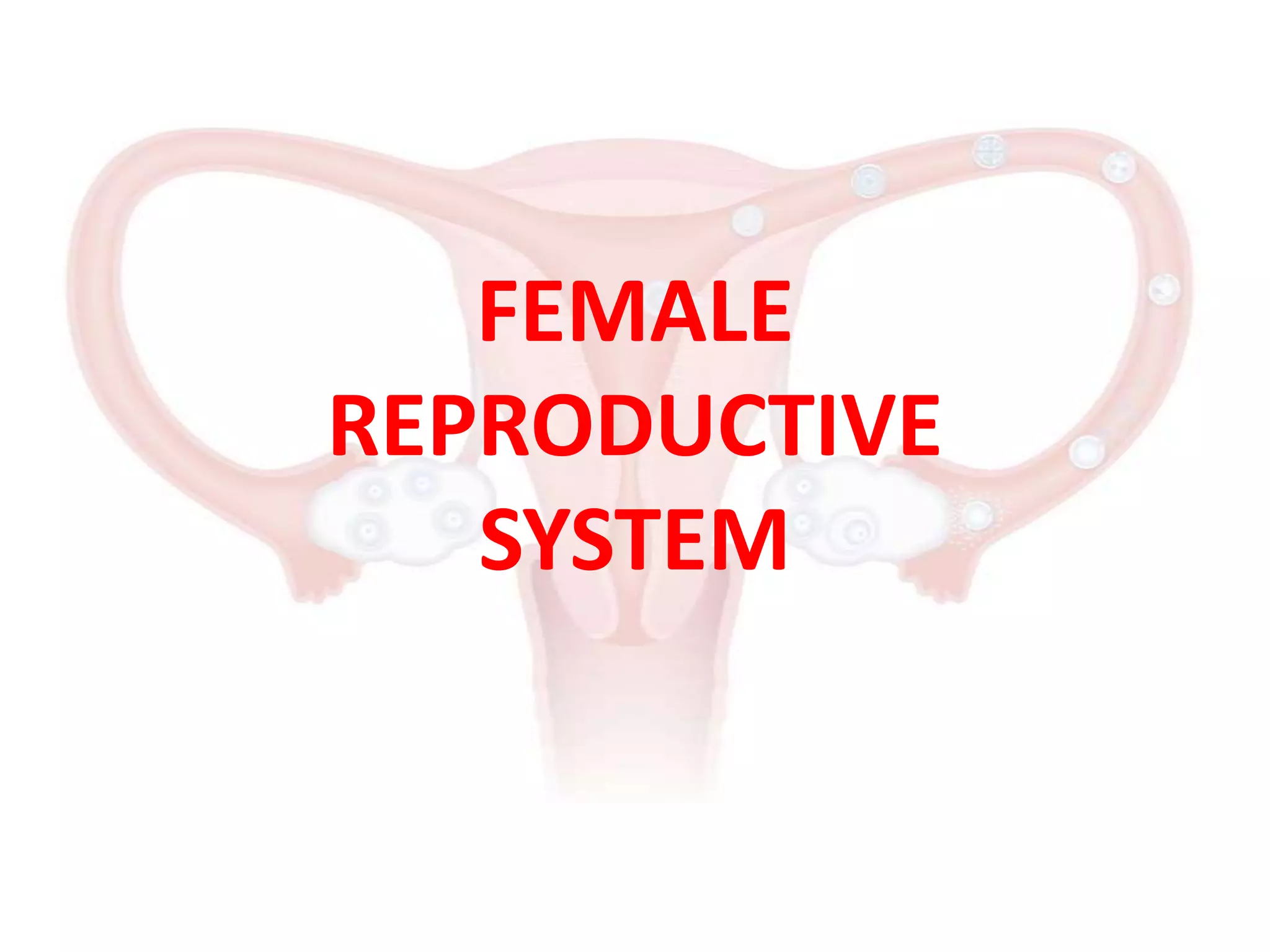 Female reproductive system | PPTX