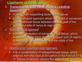 Female reproductive system | PPSX