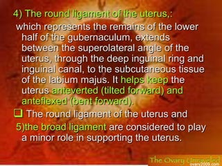Female reproductive system | PPSX