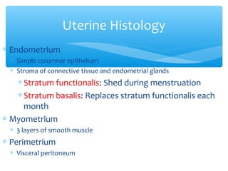 Female reproductive system | PPT