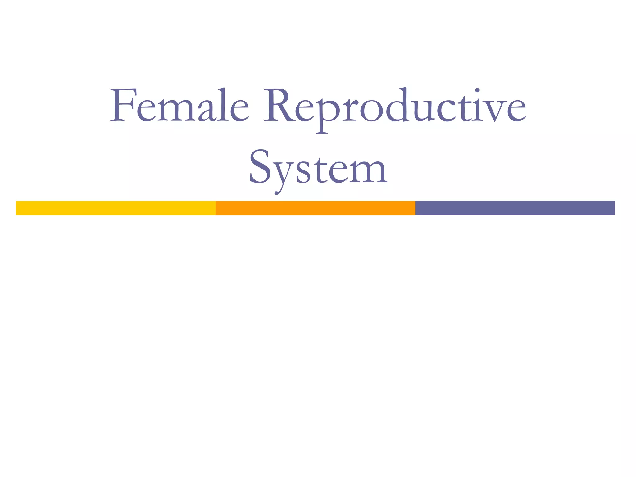 Female reproductive system | PPT