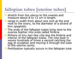 Female reproductive system | PPT