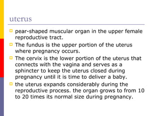 Female reproductive system | PPT