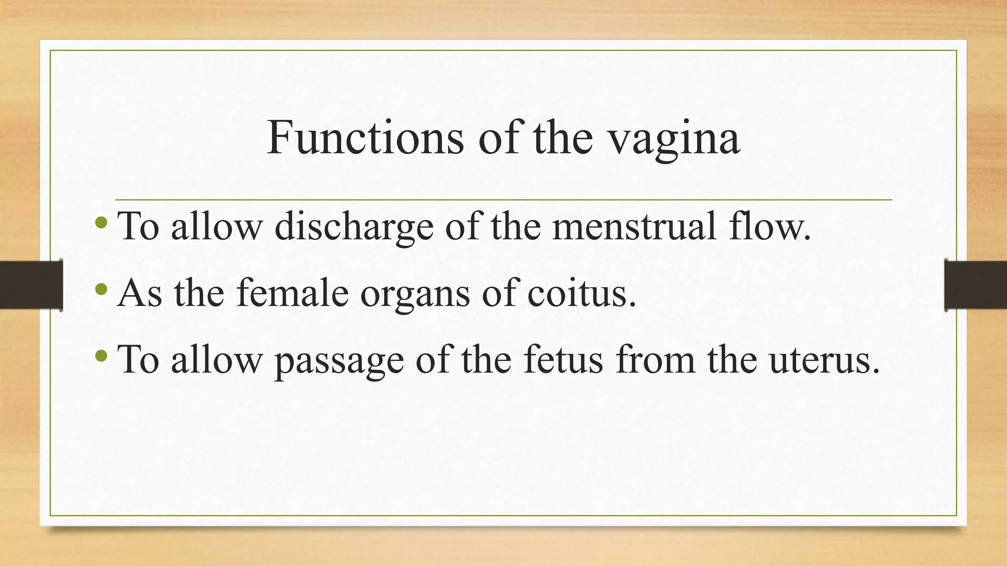 Female reproductive system | PPTX