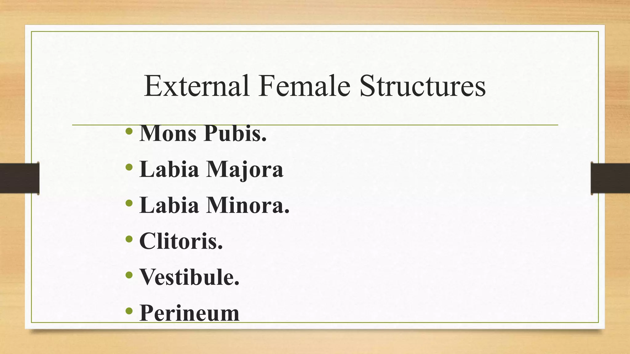Female reproductive system | PPTX
