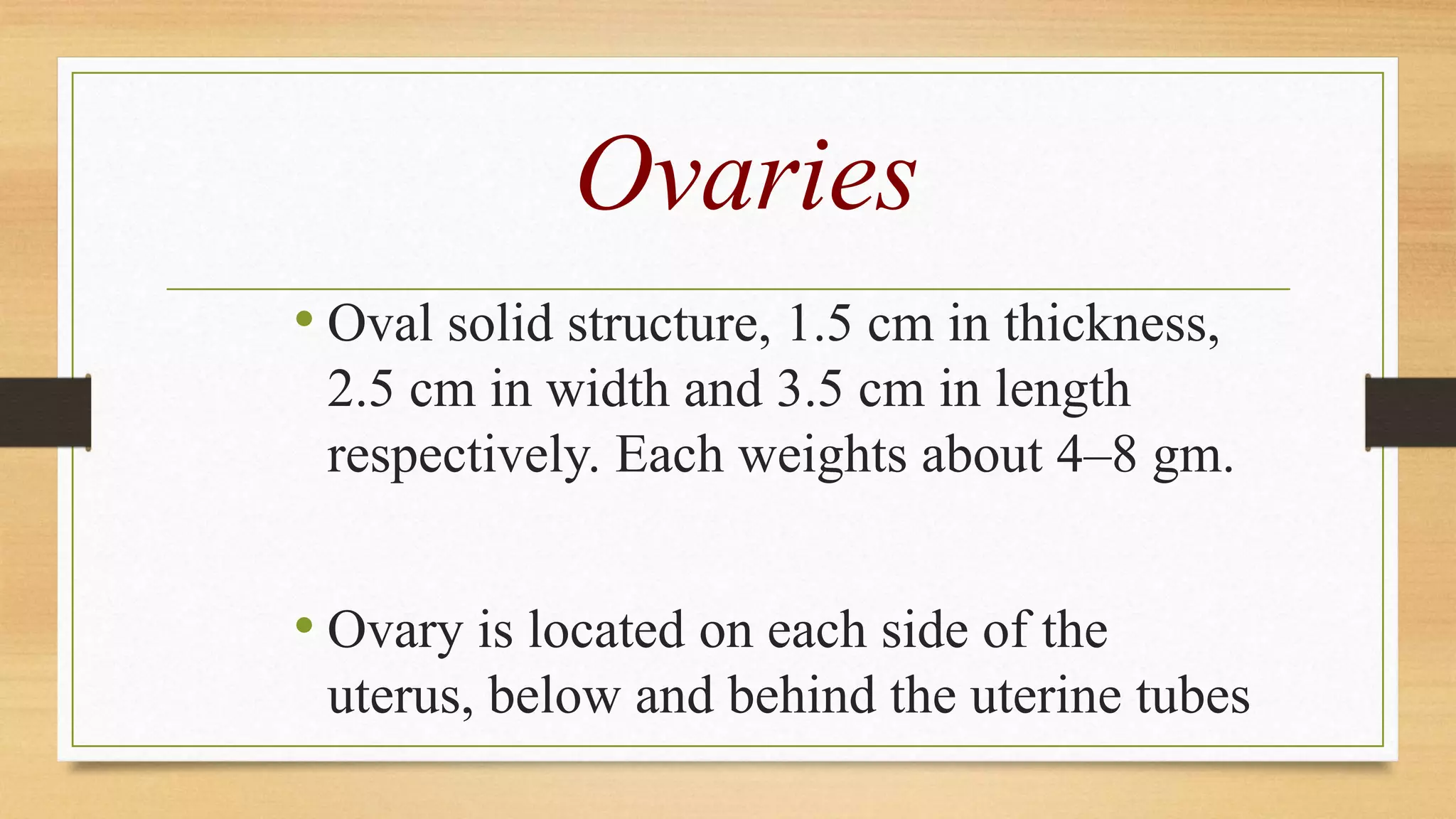 Female reproductive system | PPTX