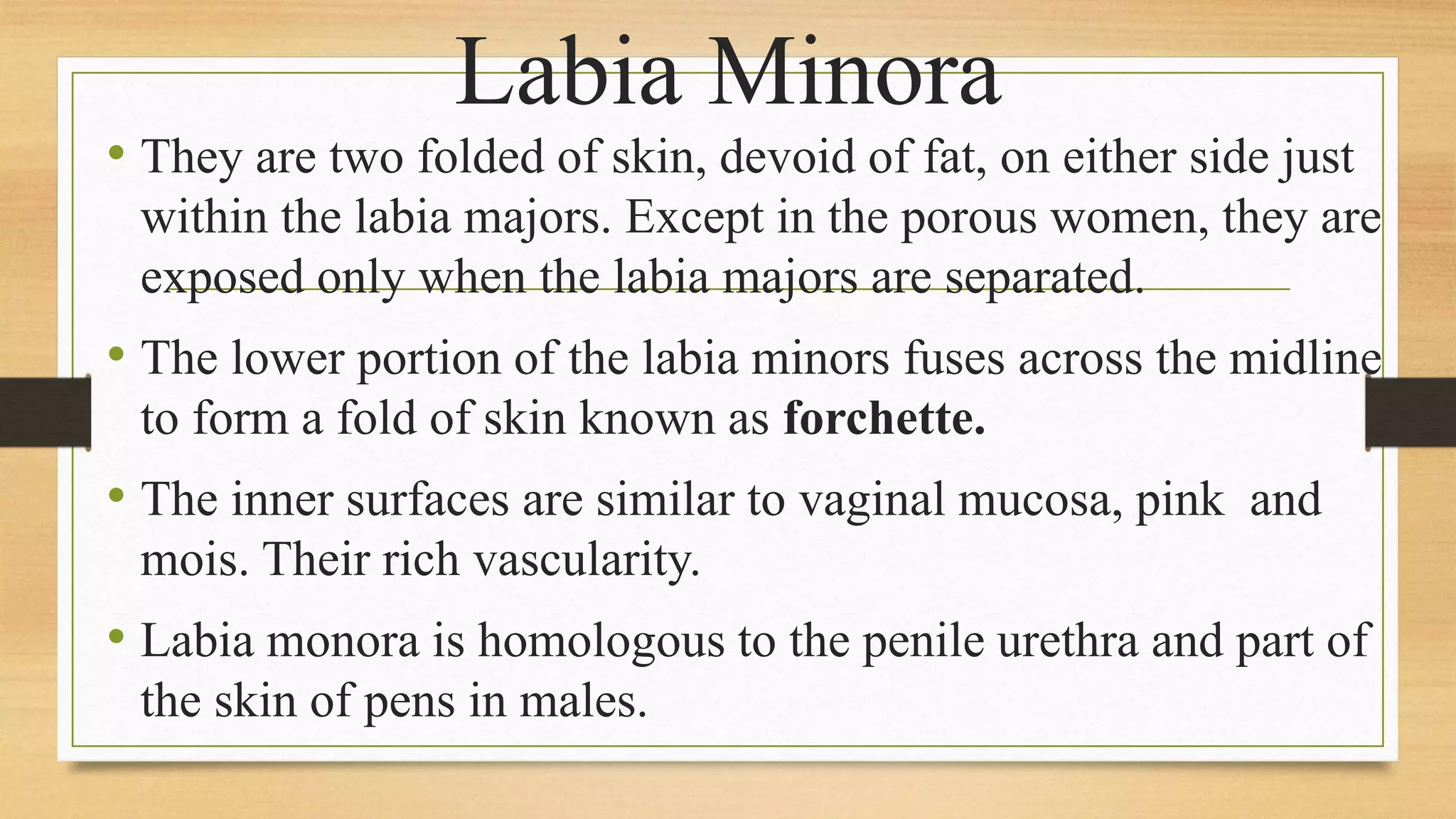 Female reproductive system | PPTX