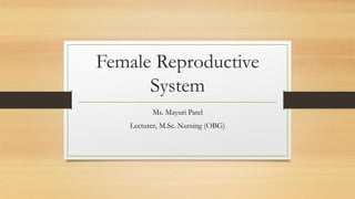Female reproductive system | PPTX